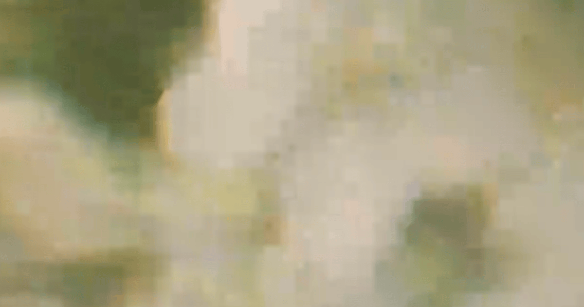 Human Healing Circle